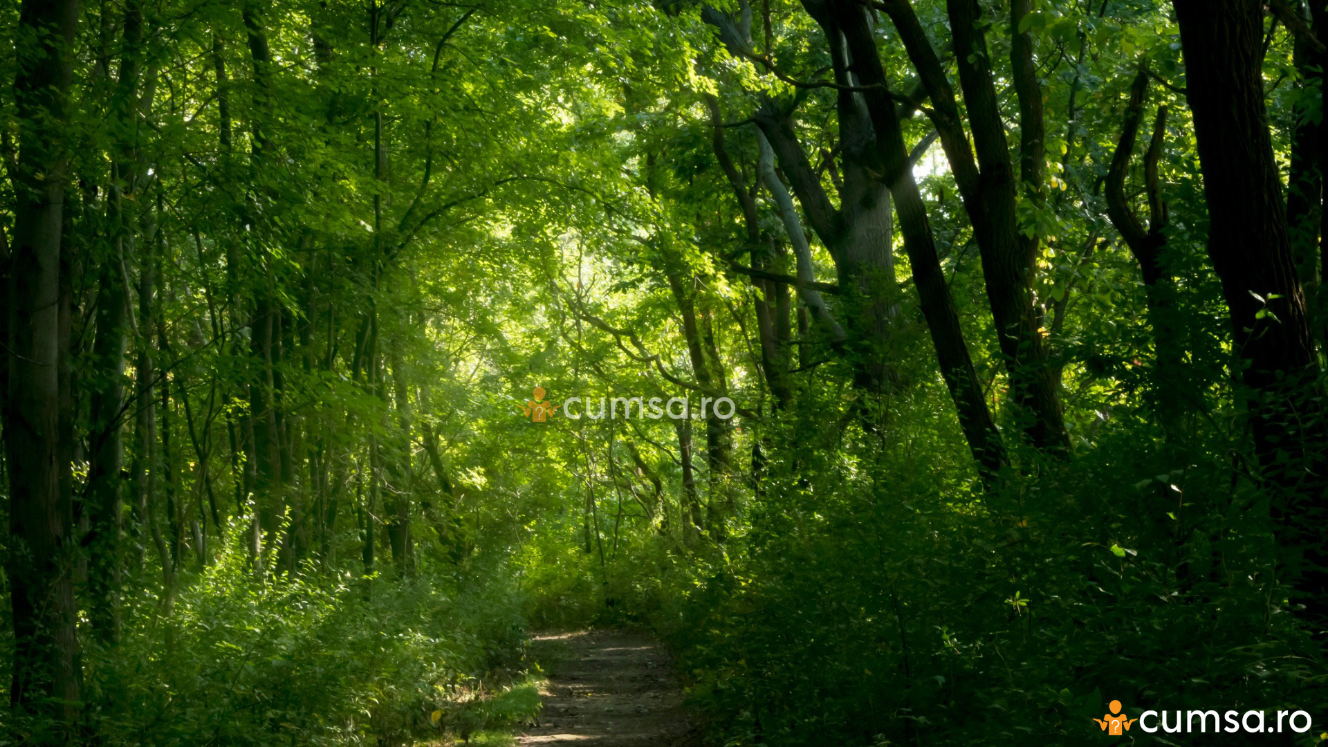 Cum sa scapi de astenia de primavara. Simptome si remedii naturale ...