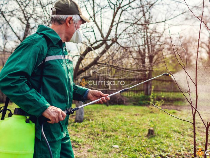 Stropiri de iarna la pomi. Cum sa le faci si ce substante sa folosesti ...