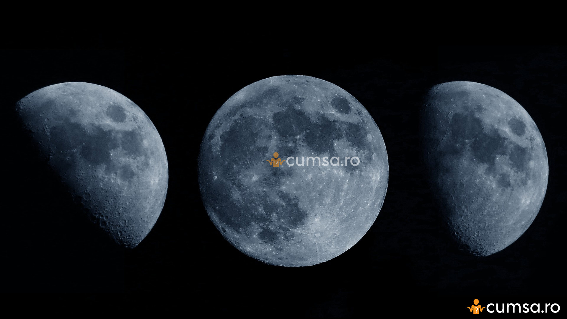 Gradinarit in functie de fazele lunii. Cum sa faci asta - cumsa.ro