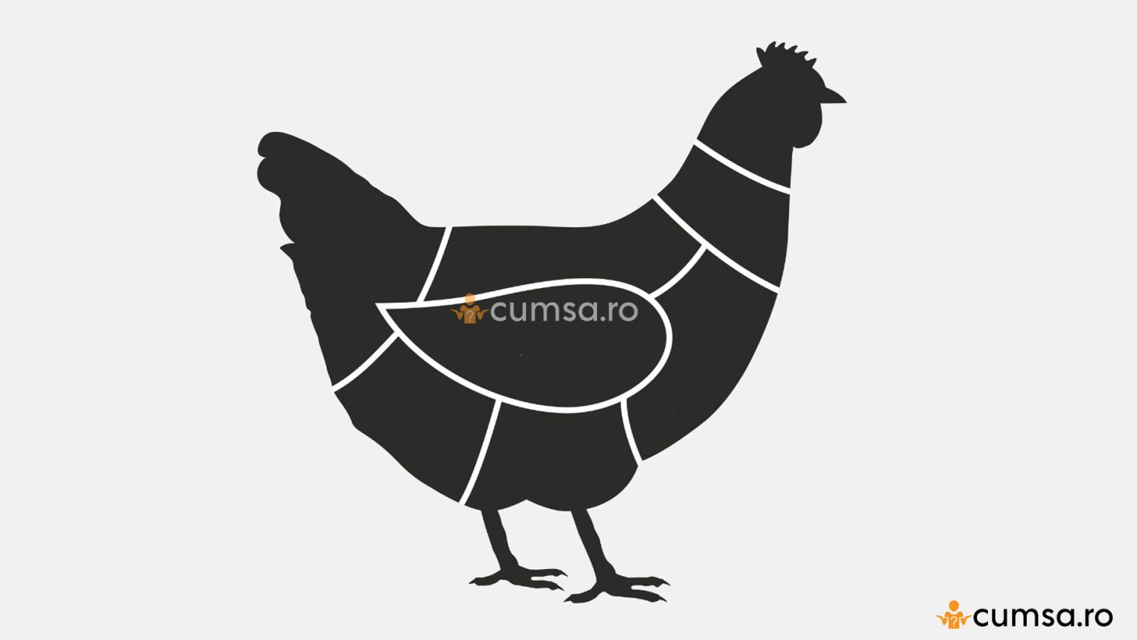 Transarea puiului. Cum sa o faci in mod corect - cumsa.ro