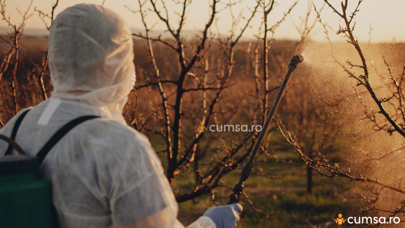 Cum sa protejezi pomii de boli si daunatori. Primele tratamente din an ...