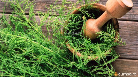 Cum sa folosesti coada calului. Beneficii, proprietati, utilizare si ...