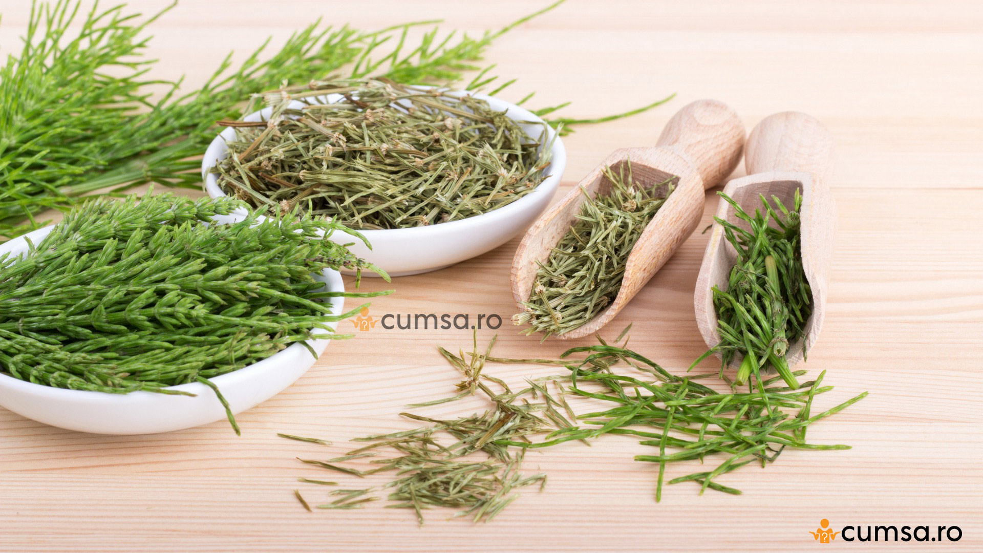 Cum sa folosesti coada calului. Beneficii, proprietati, utilizare si ...