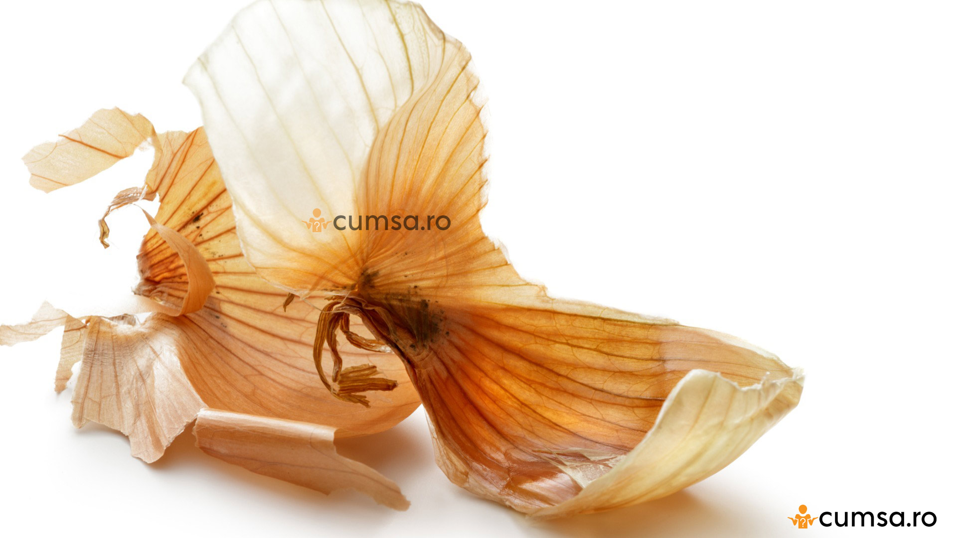 Coji de ceapa. Cum sa le folosesti si ce beneficii ofera - cumsa.ro Coji de ceapa. Cum sa le folosesti si ce beneficii ofera - cumsa.ro