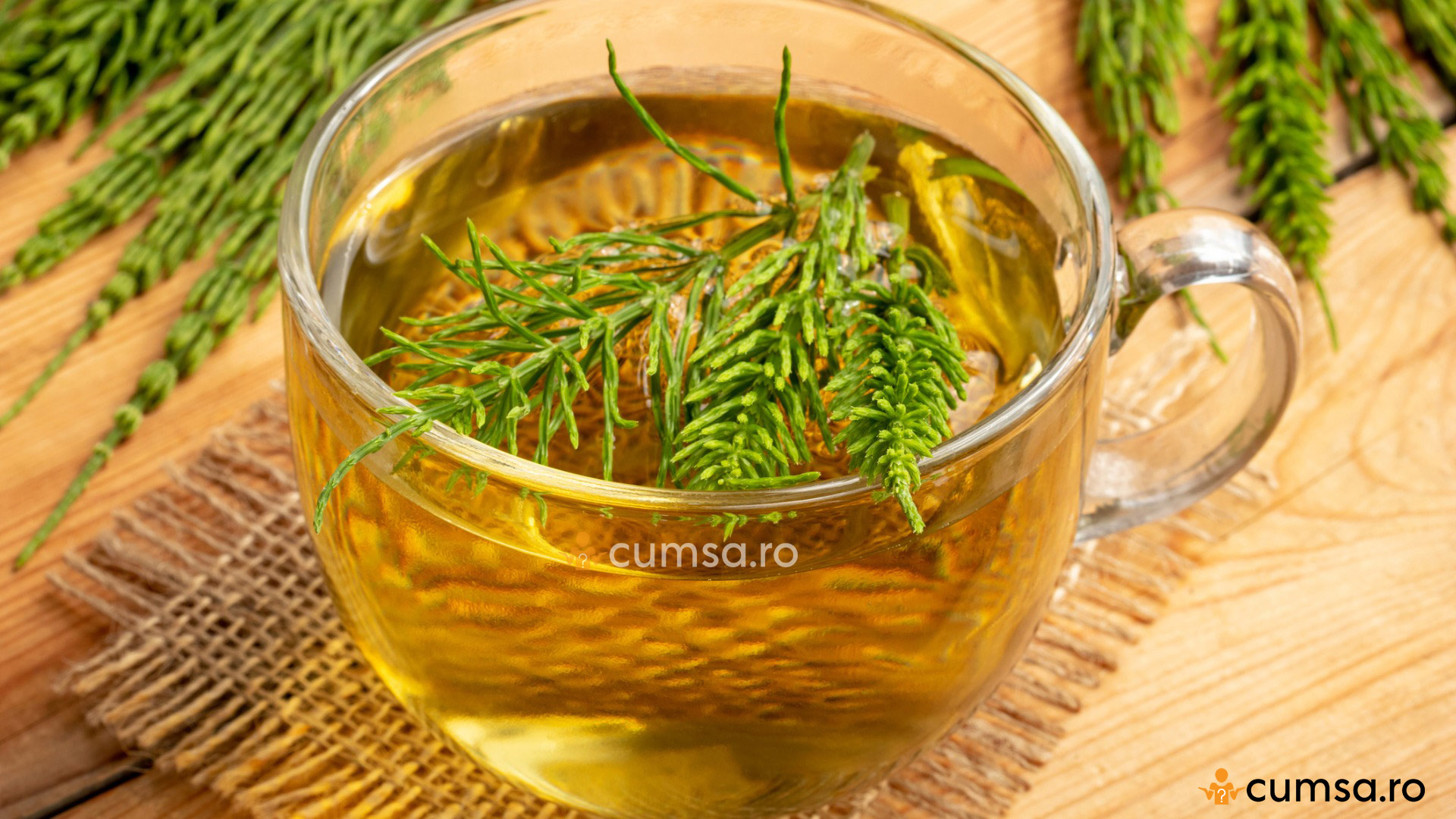 Cum sa folosesti coada calului. Beneficii, proprietati, utilizare si ...