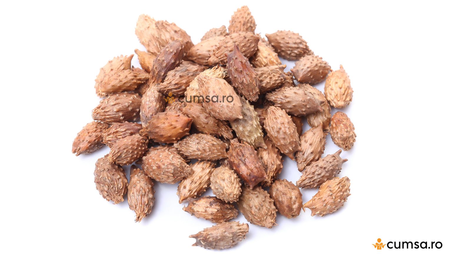 Cum sa folosesti ghimpele. Beneficii, proprietati, utilizare si ...