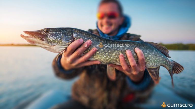 Pescuit la stiuca. Cum sa il practici si ce momeala sa folosesti - cumsa.ro