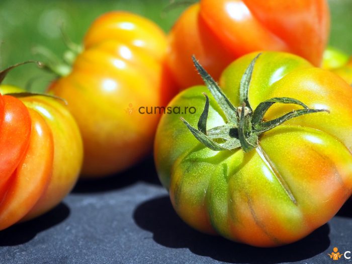 Stropirea rosiilor cu lapte. Cum sa aplici acest tratament in gradina ...