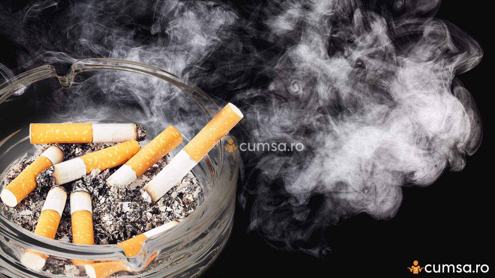 Cum sa elimini mirosul de tigara din casa cu ajutorul plantelor - cumsa.ro