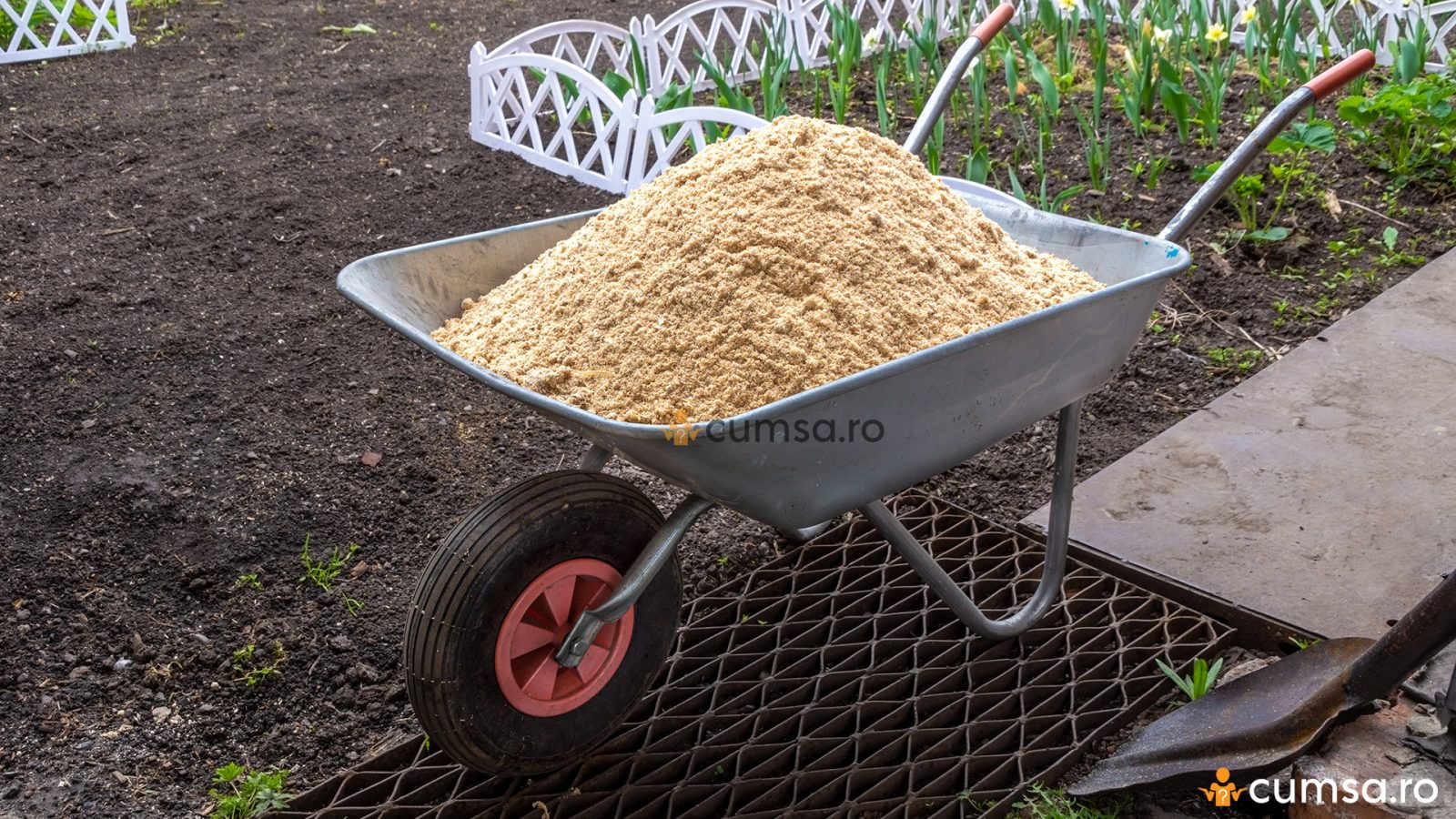 Mulcirea cu rumegus. Cum sa o faci in mod corect si ce greseli sa eviti ...