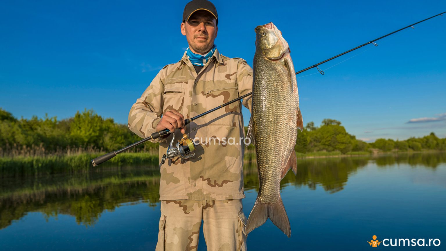 Pescuit la avat. Cum sa ai rezultate bune si ce momeli folosesti - cumsa.ro