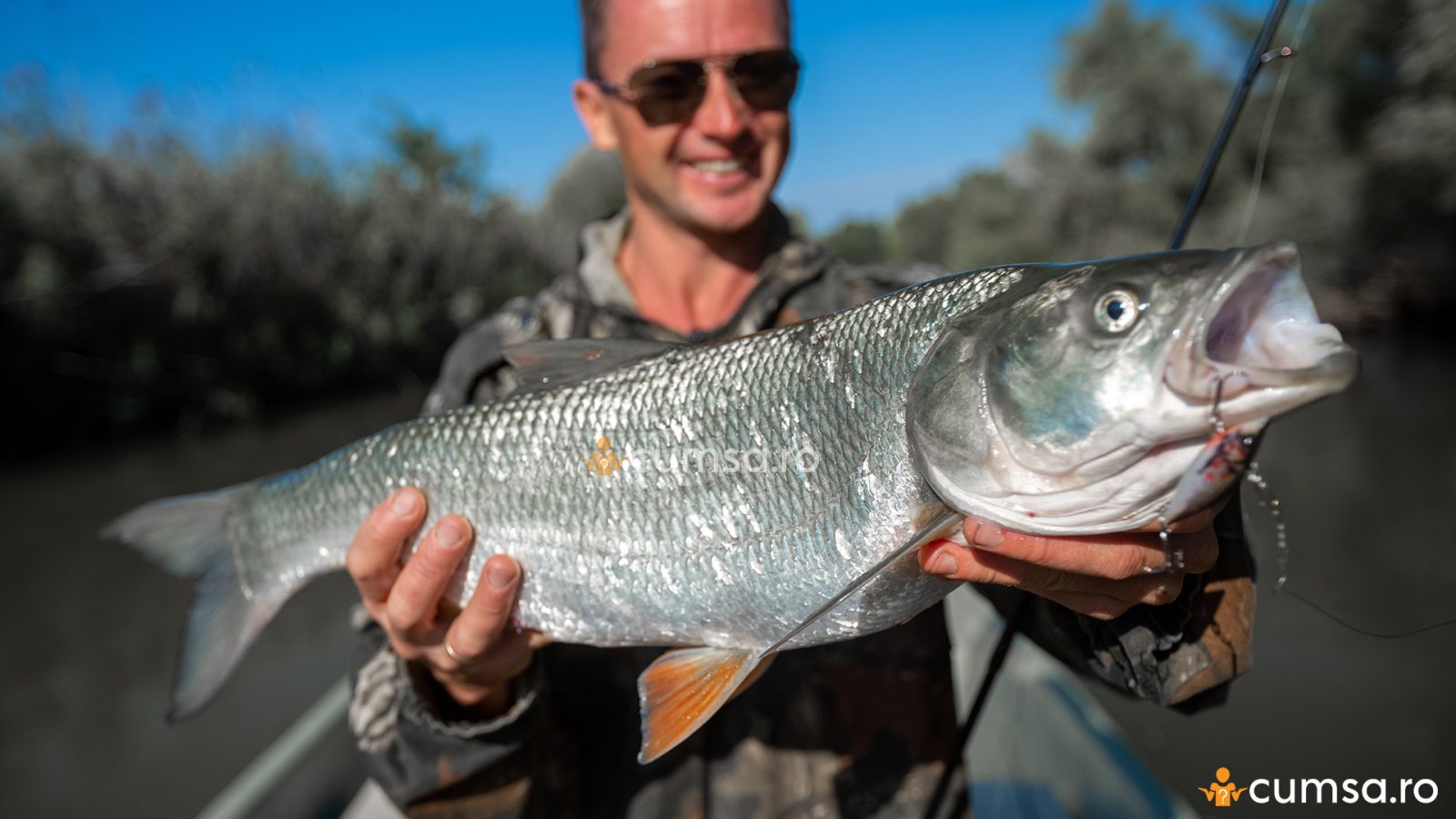 Pescuit la avat. Cum sa ai rezultate bune si ce momeli folosesti - cumsa.ro