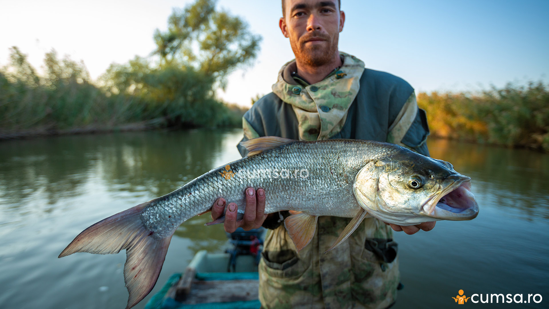 Pescuit la avat. Cum sa ai rezultate bune si ce momeli folosesti - cumsa.ro