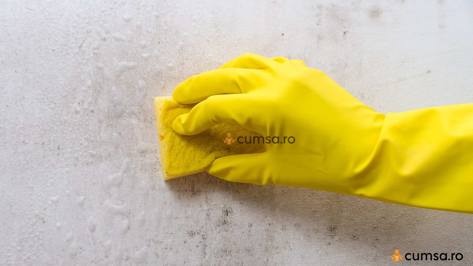 Cum sa cureti un perete alb. Pasii pe care sa ii urmezi - cumsa.ro