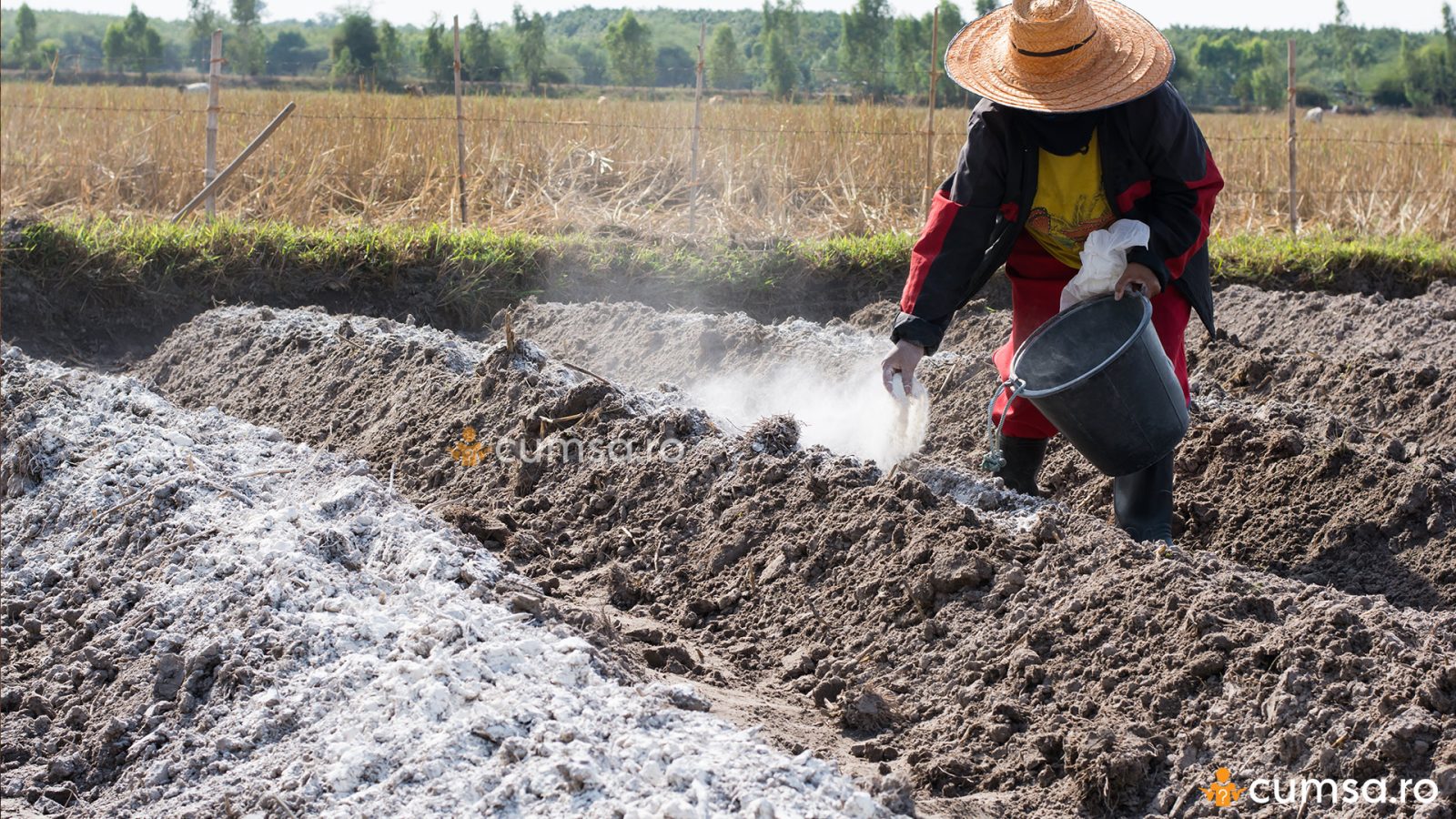 Dezinfectarea solului cu var. Cum sa procedezi si care sunt pasii ...