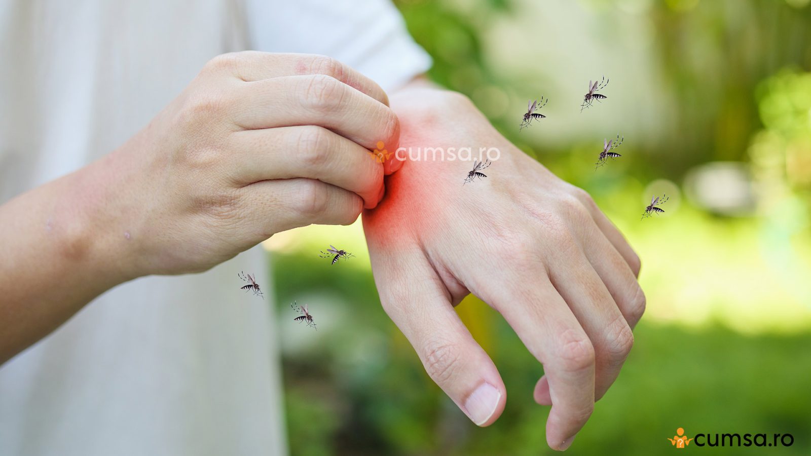 Insecticid tantari exterior. Cum sa tii la distanta insectele in ...