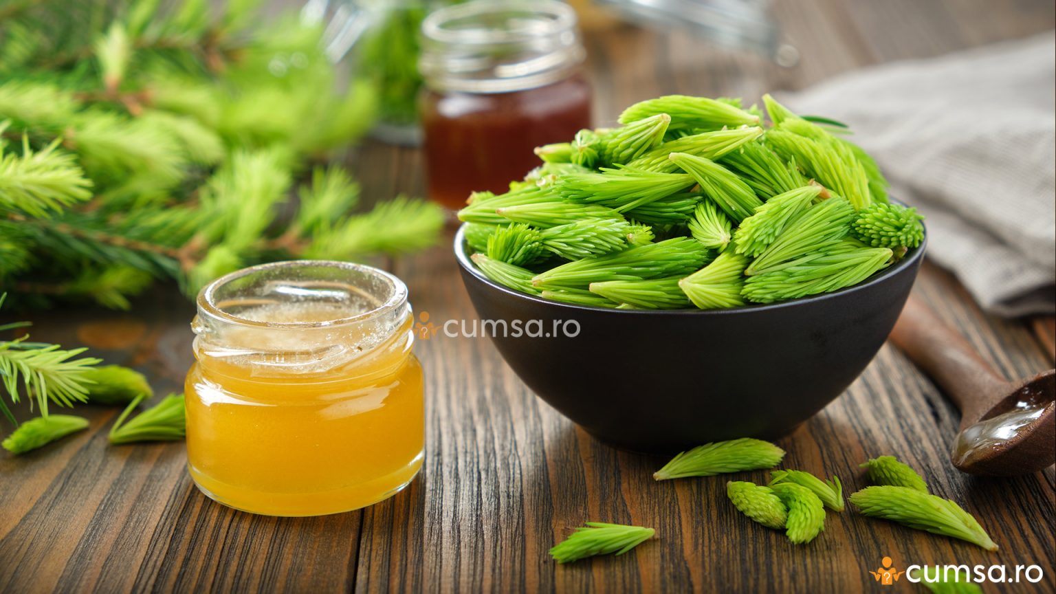 Reteta sirop din muguri de brad. Cum sa il prepari si ce beneficii ...