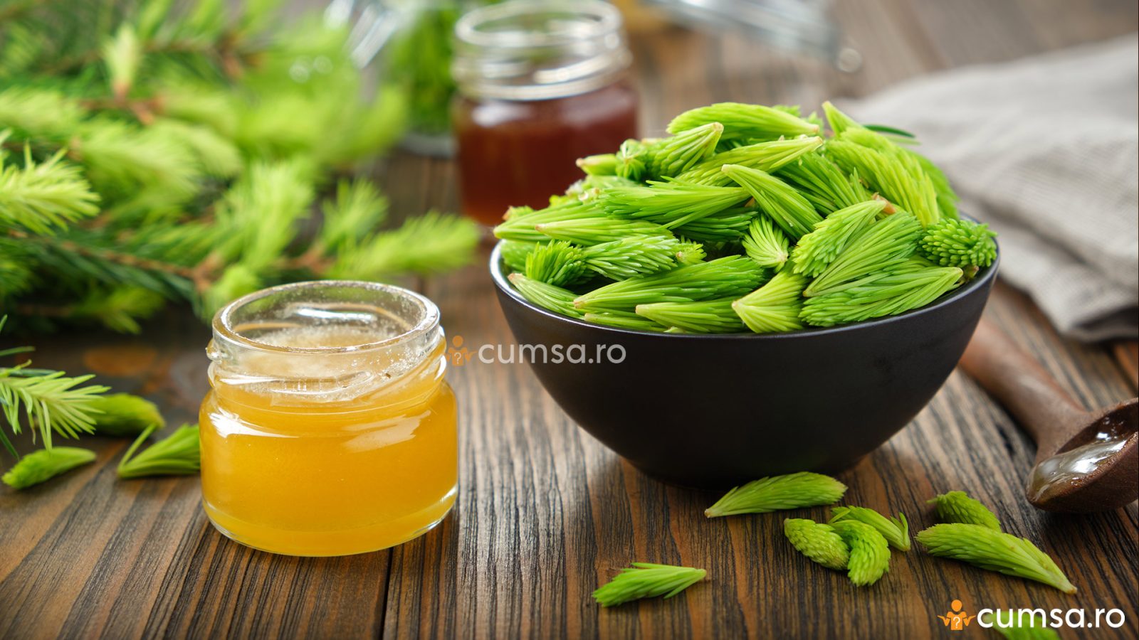 Reteta sirop din muguri de brad. Cum sa il prepari si ce beneficii ...