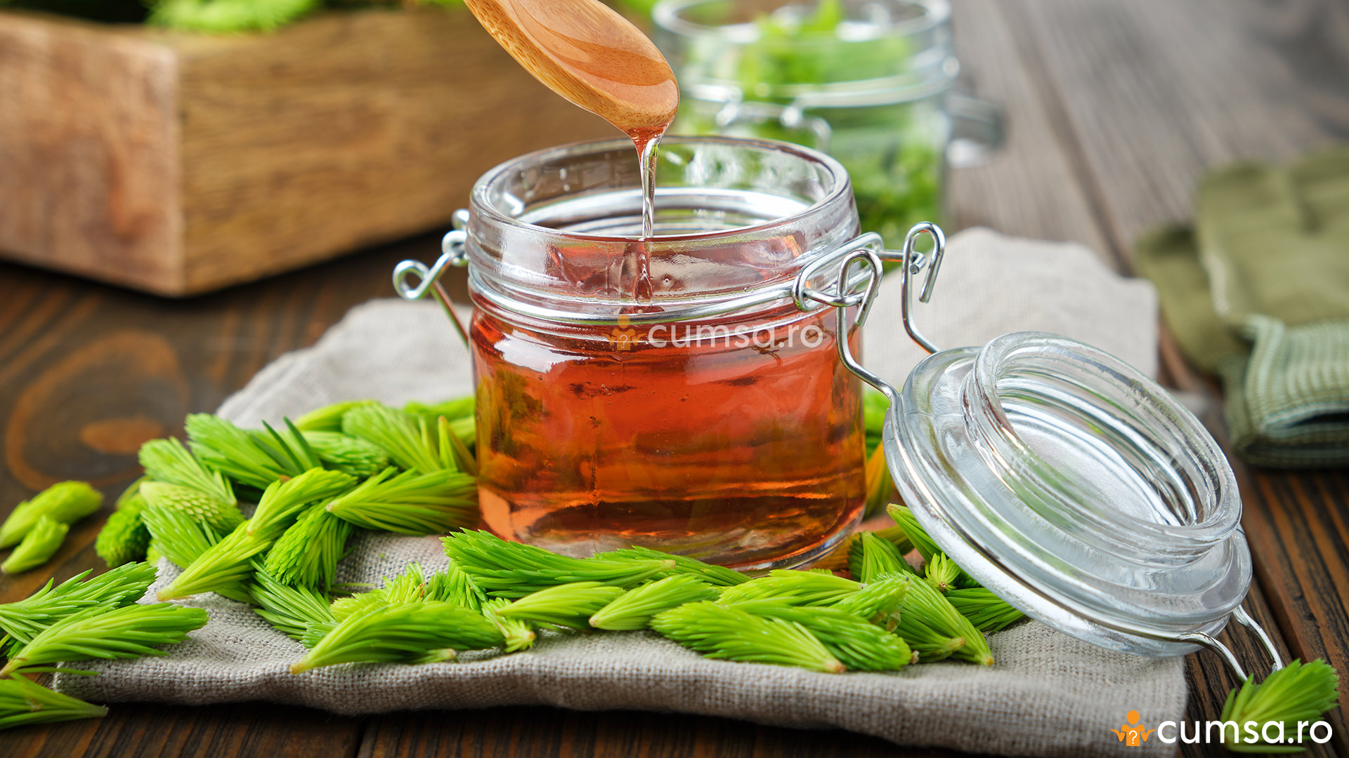 Reteta sirop din muguri de brad. Cum sa il prepari si ce beneficii ...