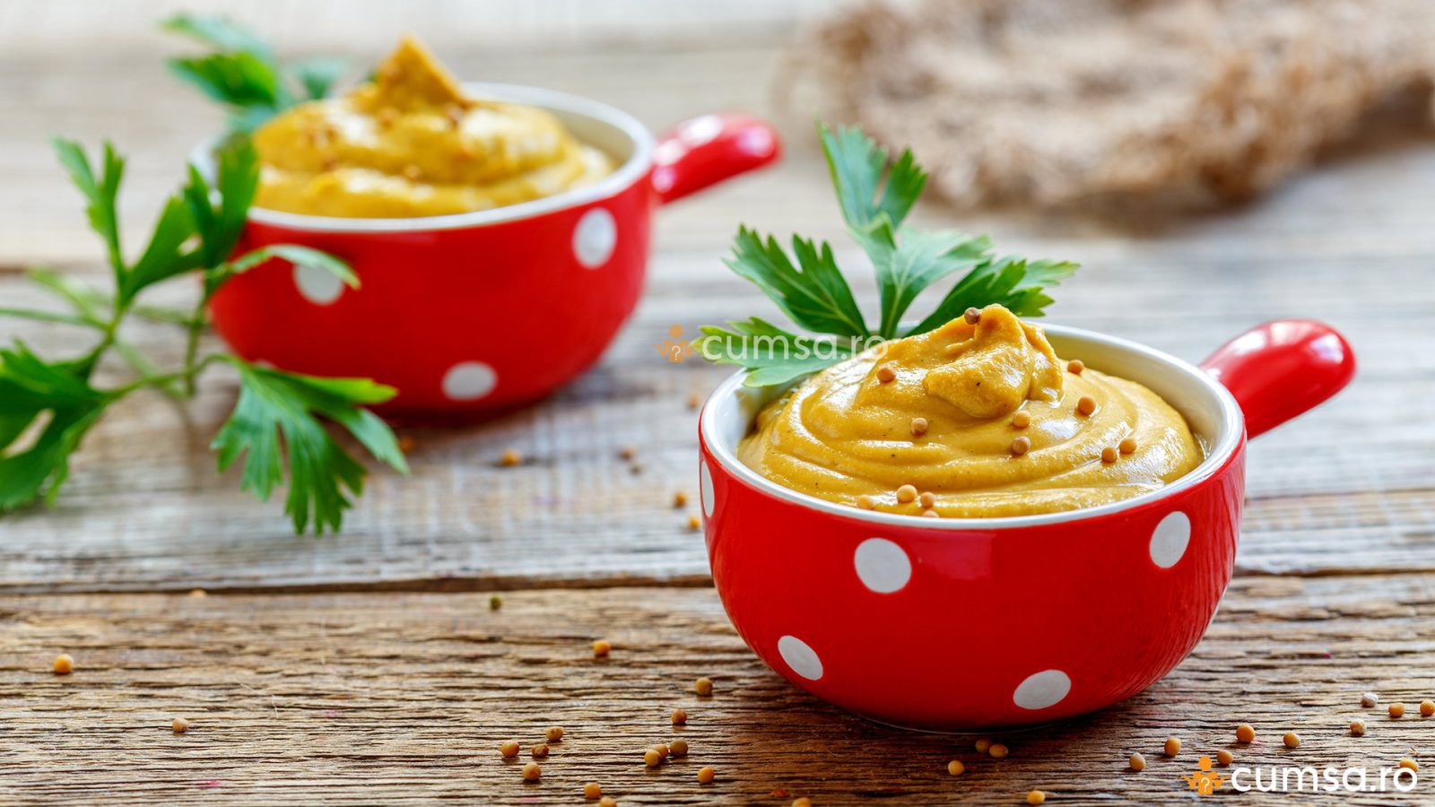 Cum sa prepari sos de mustar si la ce mancaruri se potriveste - cumsa.ro