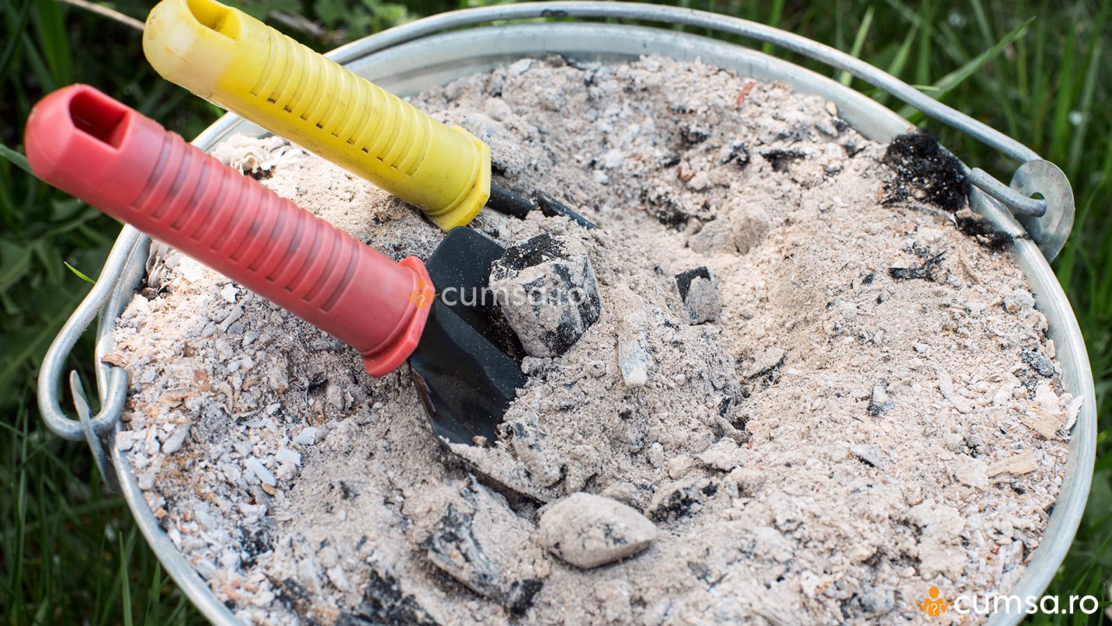 Cum sa folosesti cenusa la rosii si ce efect are - cumsa.ro