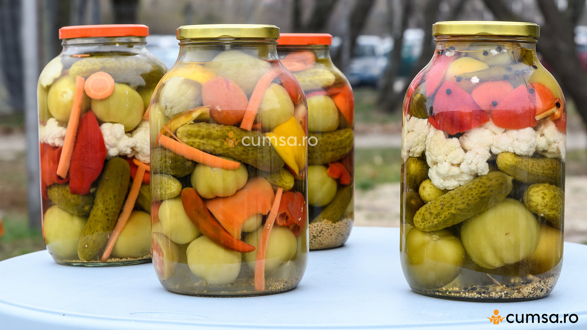 Muraturi baloase. Cum sa eviti acest lucru si ce remedii exista - cumsa.ro