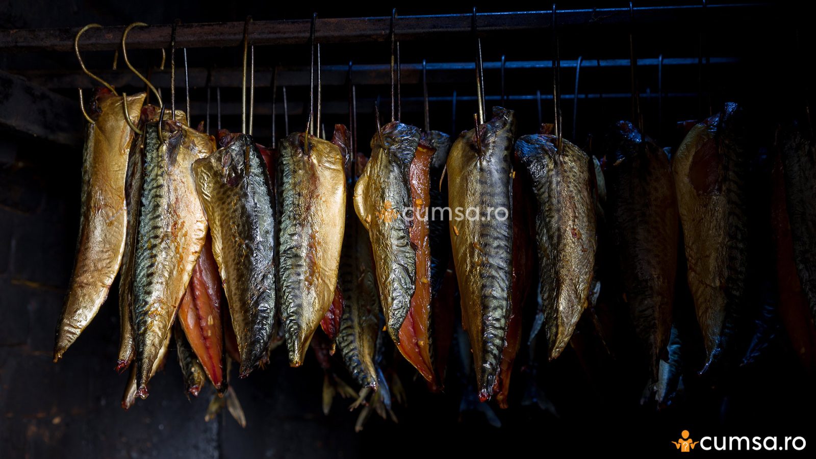 Afumarea pestelui in casa. Cum sa faci asta si ce tip de peste sa ...