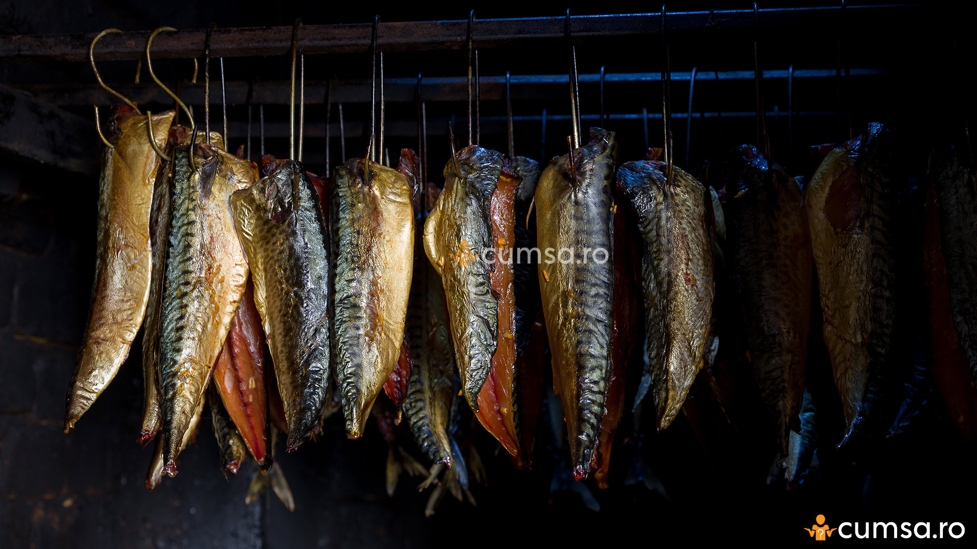 Afumarea pestelui in casa. Cum sa faci asta si ce tip de peste sa ...