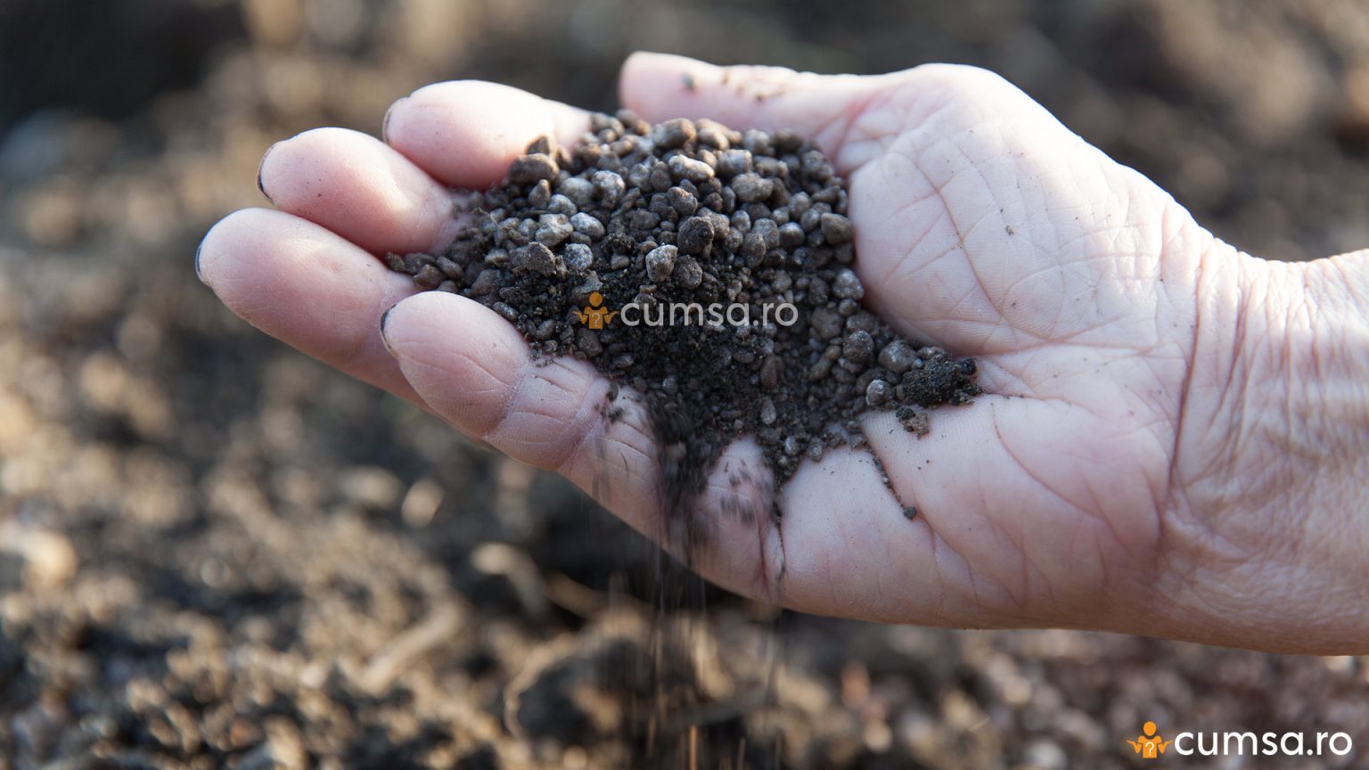Ingrasaminte naturale. Cum sa le folosesti in mod corect in gradina ...