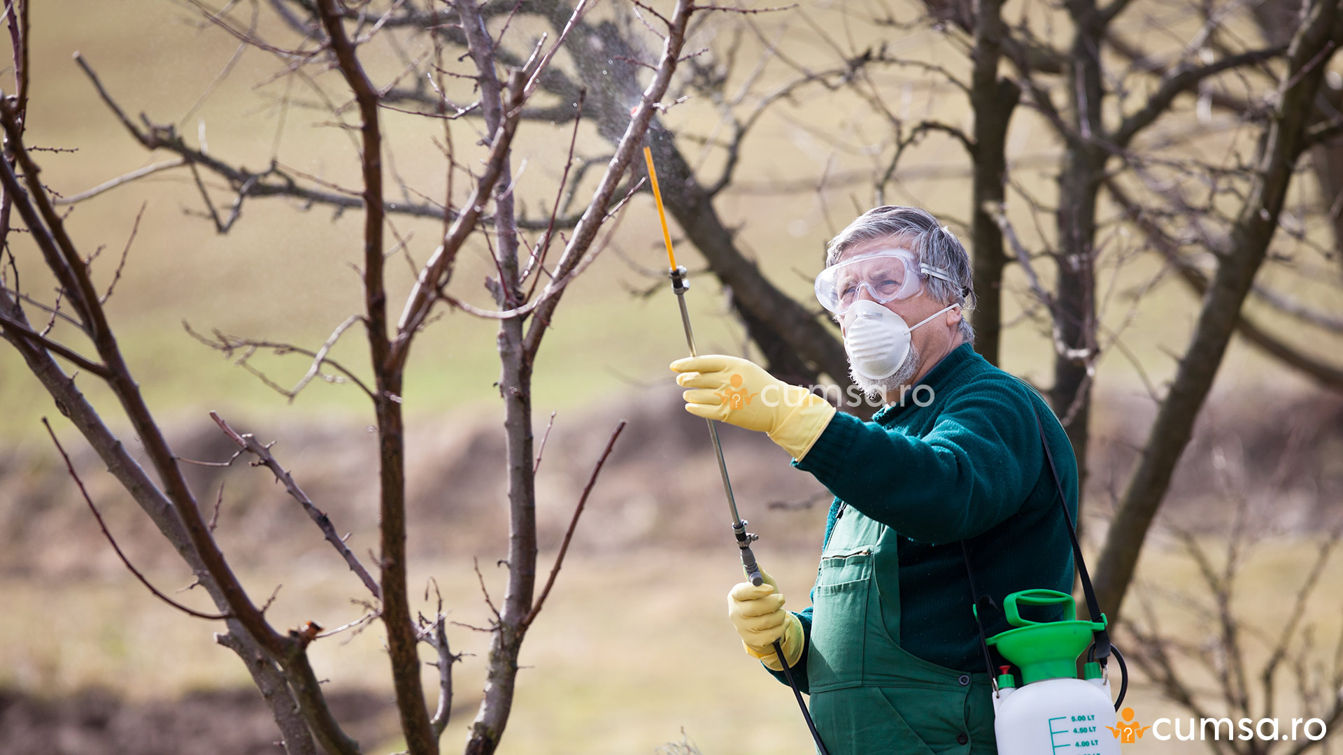 Stropire pomi cu sulfat de cupru. Cum sa o faci si ce concentratie ...