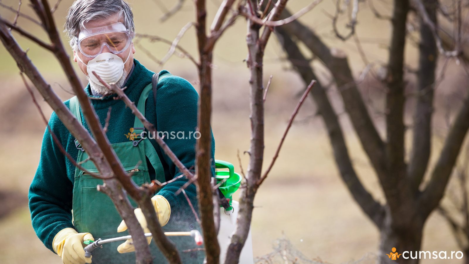 Stropire pomi cu sulfat de cupru. Cum sa o faci si ce concentratie ...