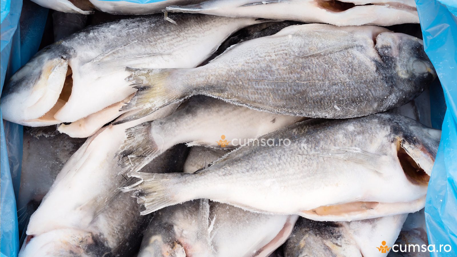 Cum sa decongelezi pestele. Sfaturi utile si ce greseli sa eviti - cumsa.ro