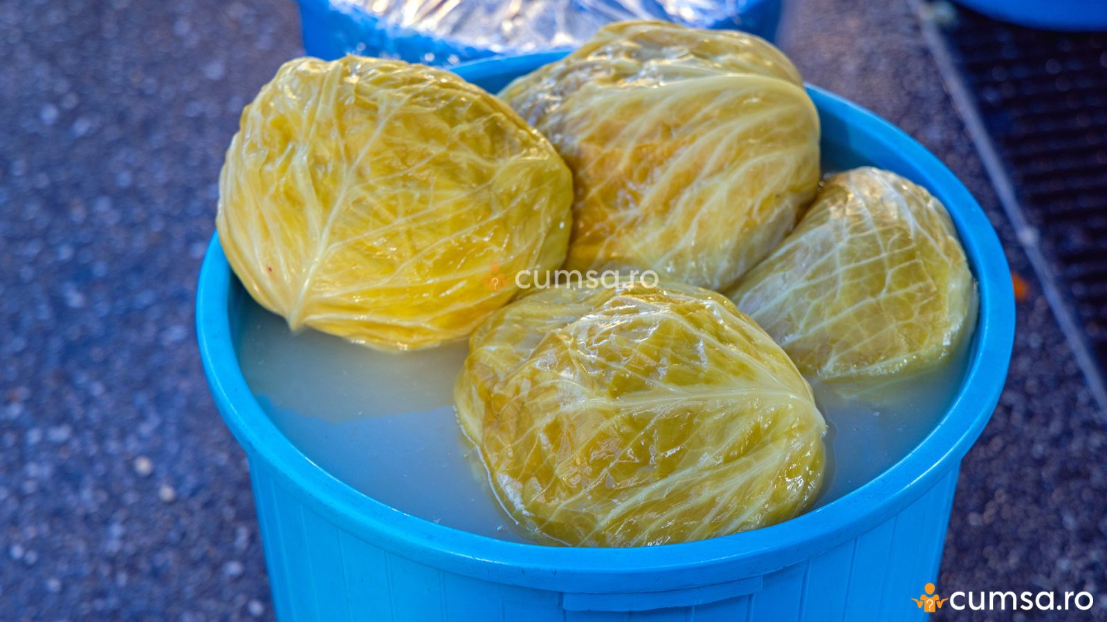 Cum sa procedezi daca varza murata a facut floare. Sfaturi utile ...