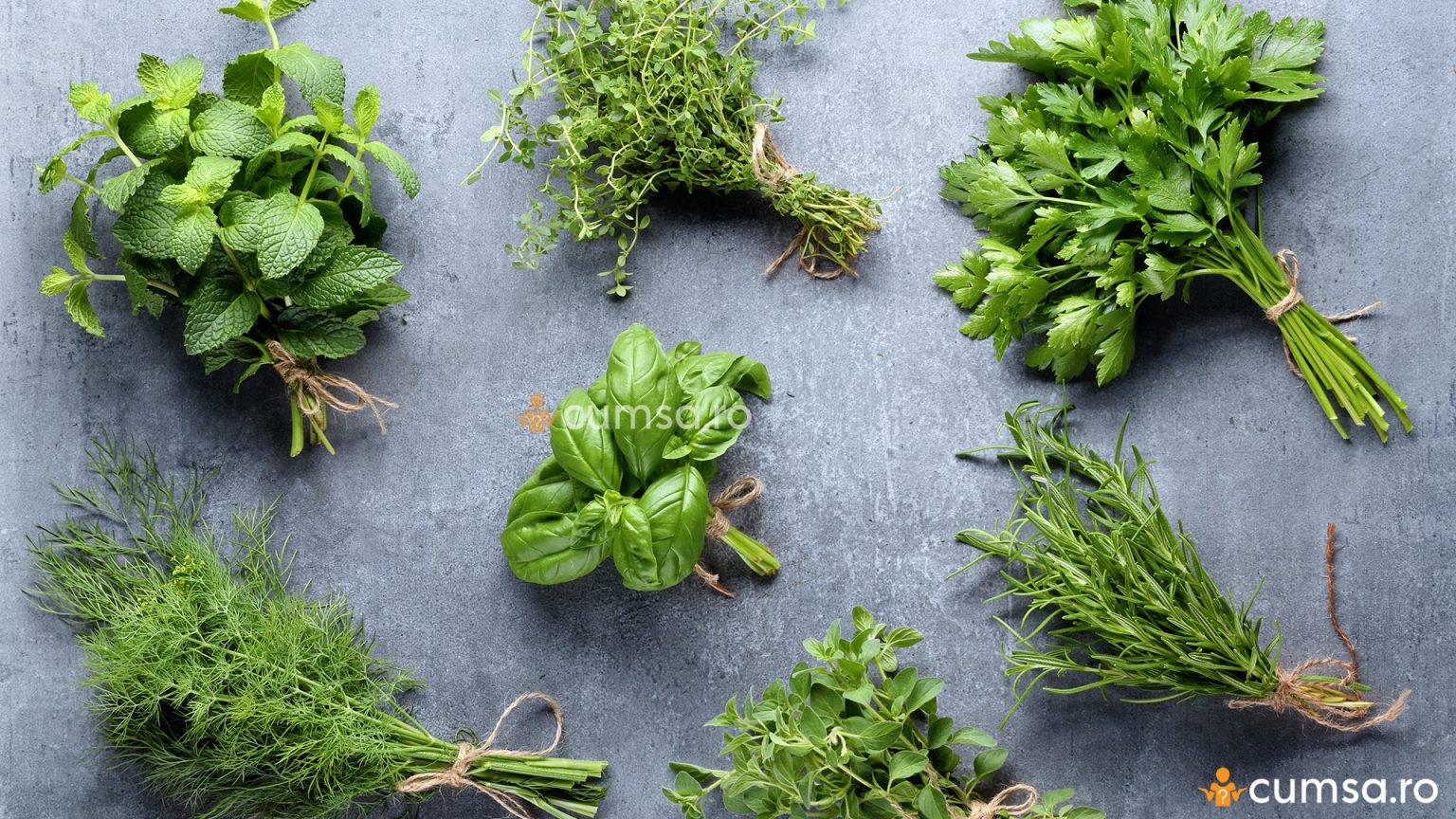 Cum sa folosesti ierburile aromatice si pentru ce tipuri de carne sunt ...