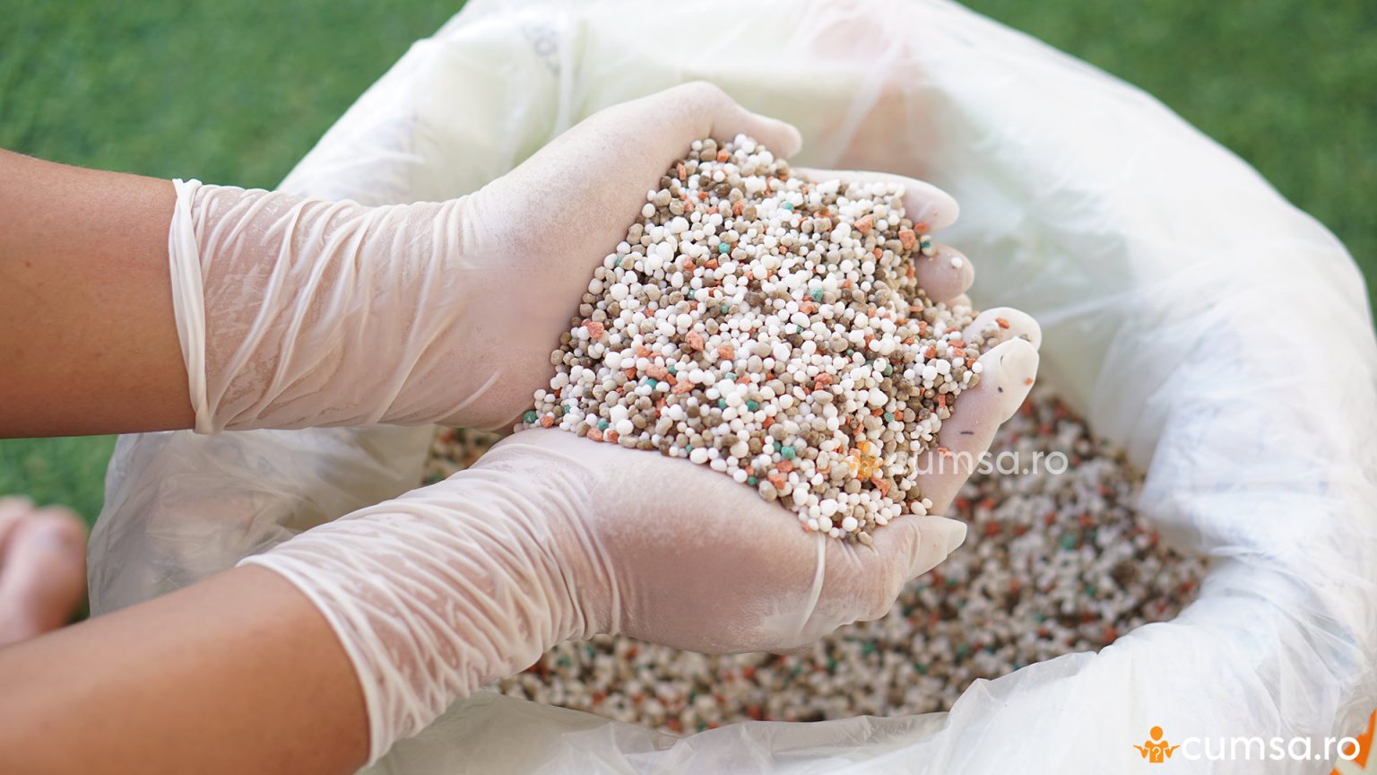 Fertilizarea de primavara a pomilor fructiferi. Cum sa o faci si ce ...