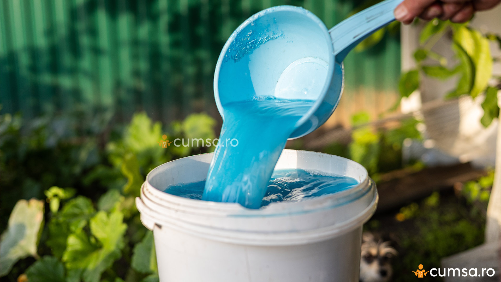 Dezinfectarea solului cu sulfat de cupru. Cum sa o faci si cand este ...