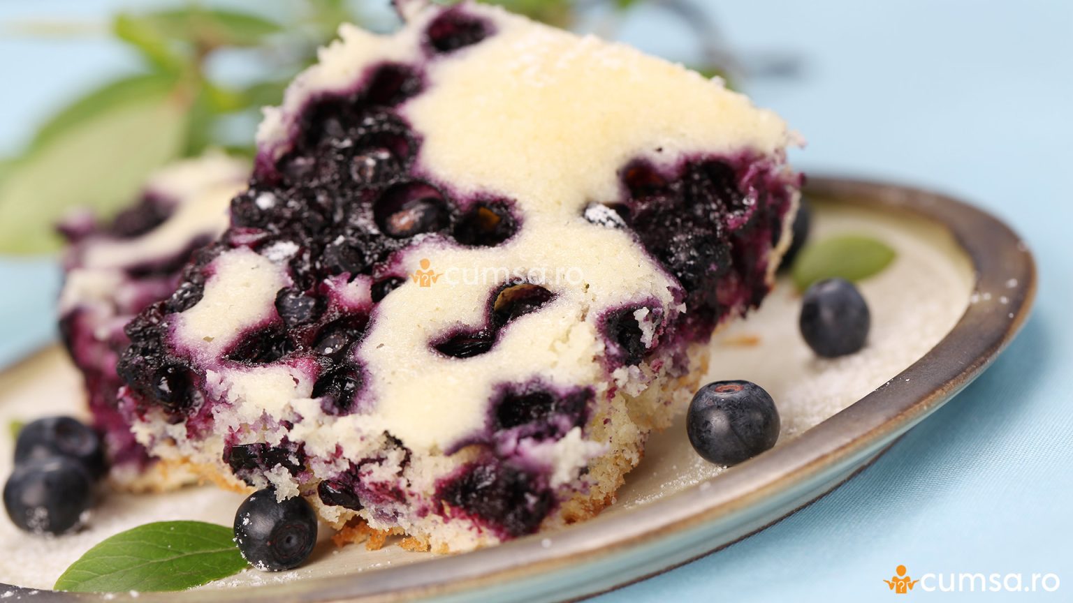 Cum sa prepari pandispan cu afine si iaurt. Reteta si ingrediente ...