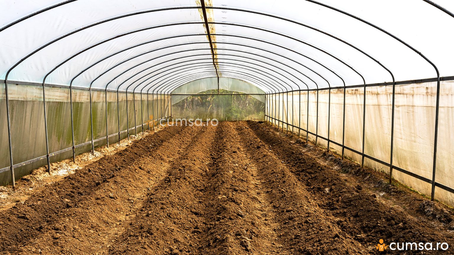 Cu ce se dezinfecteaza solul din solar si cum sa faci asta in mod ...