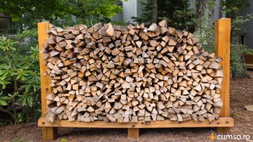 Cate kg are un metru cub de lemn. Cum sa faci calculul in functie de ...