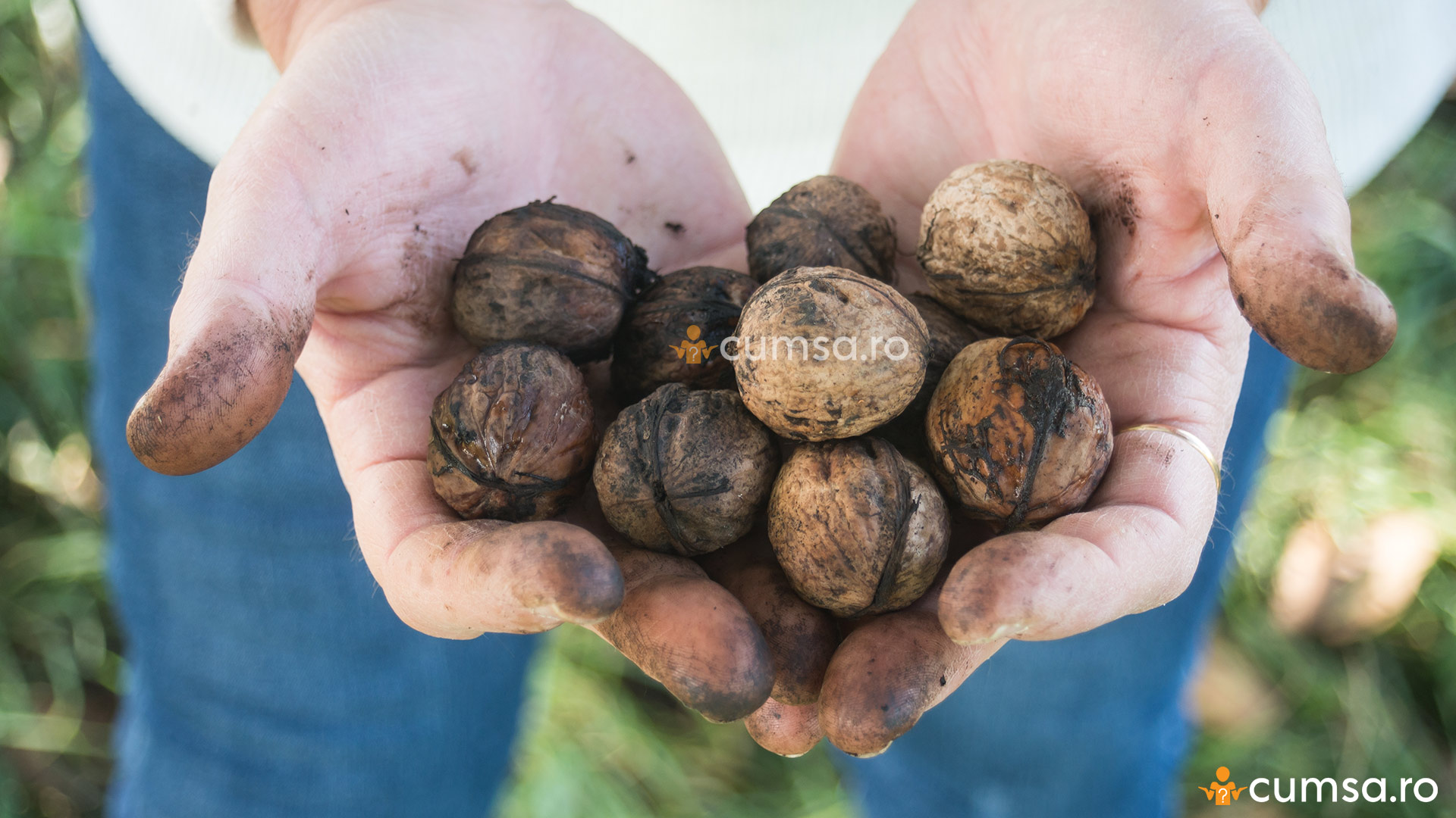 Cu ce se ia negreala de la nuci. Cum sa te cureti pe maini cat mai bine ...