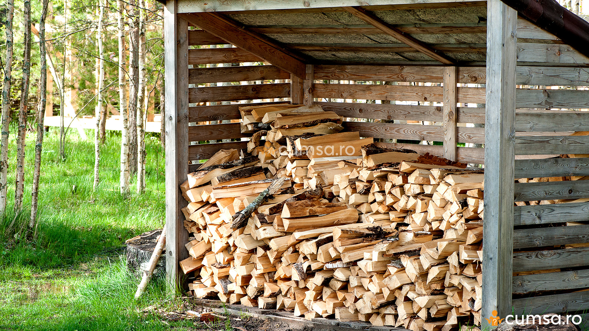 Umidometru lemn. Cum sa il folosesti si de ce este util cand cumperi ...