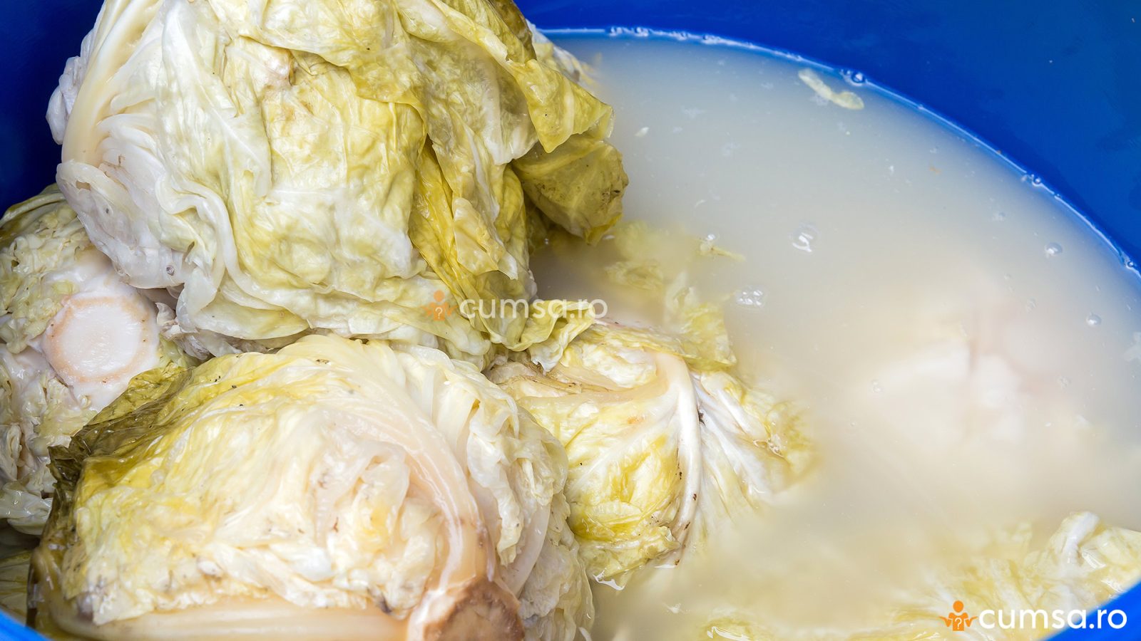 Cata sare se pune la varza murata. Cum sa procedezi pentru a nu se ...