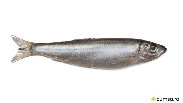 Diferenta dintre sprot si hamsie. Cum sa alegi pestele potrivit - cumsa.ro