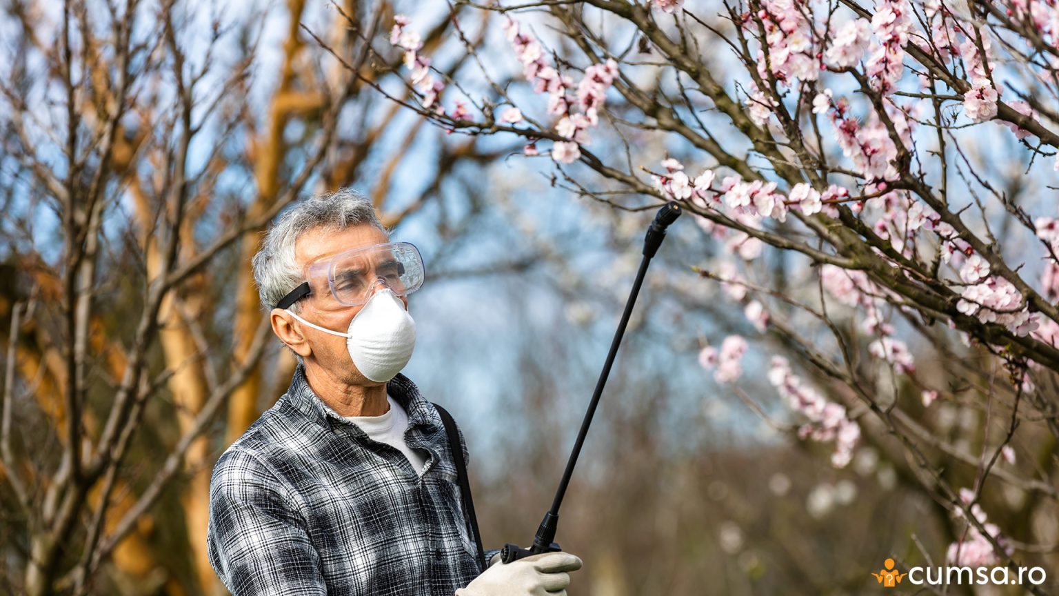 Cum sa faci stropirile la pomii fructiferi de-a lungul anului si cand ...