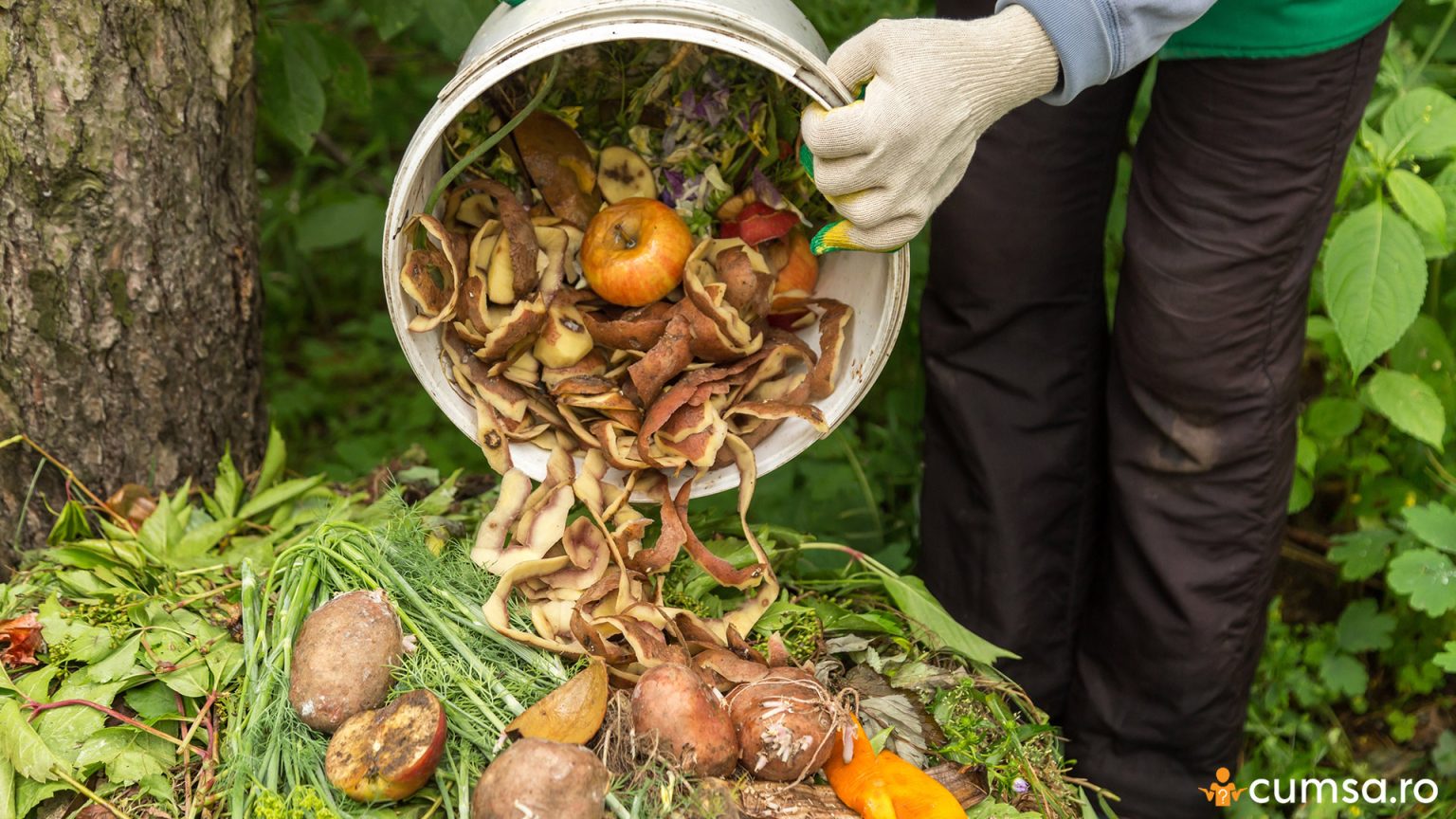 Ce sa nu pui niciodata in lada de compost. Cum sa obtii un ingrasamant ...