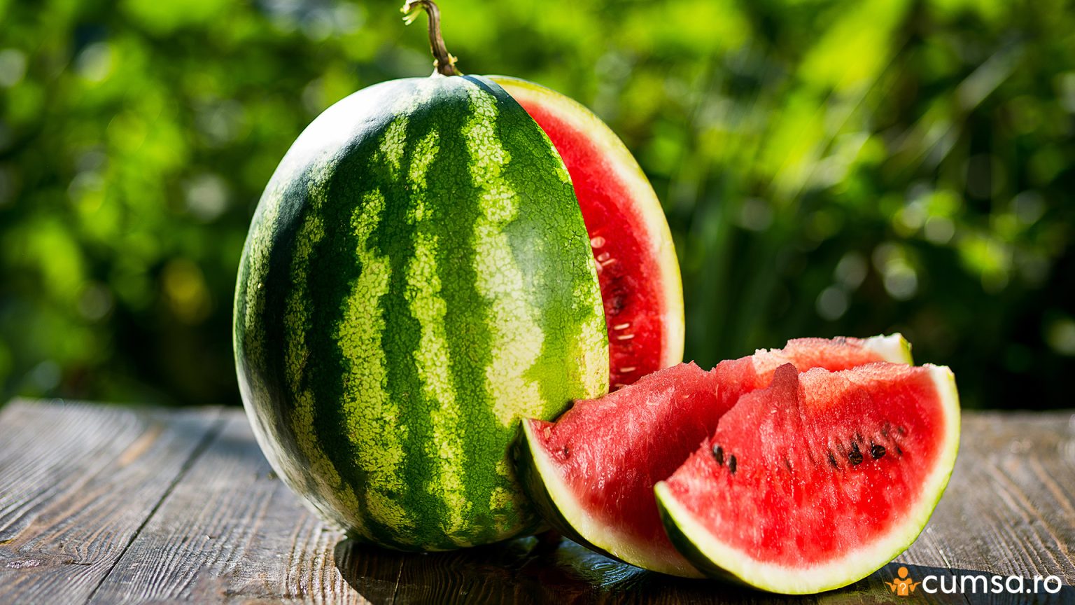 Cum sa obtii pepeni mari si gustosi chiar la tine in gradina - cumsa.ro