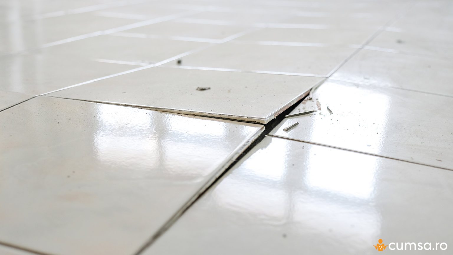 De ce se ridica gresia. Cum sa previi acest lucru si care pot fi cauzele - cumsa.ro