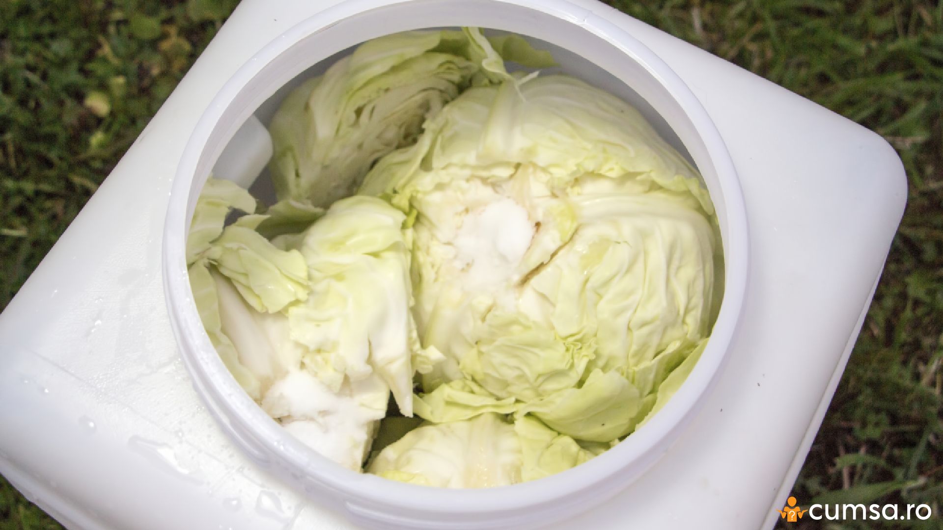 Ce se pune la varza murata si cum sa o pregatesti pentru a rezista ...